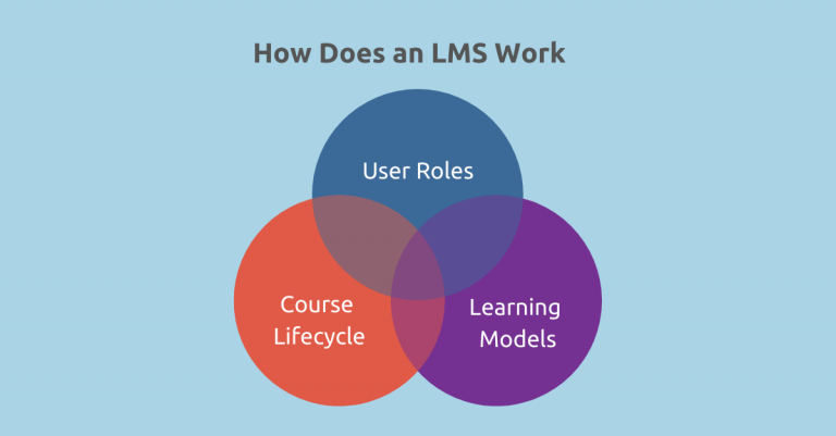 What is an LMS? A Guide to Learning Management Systems - Edly
